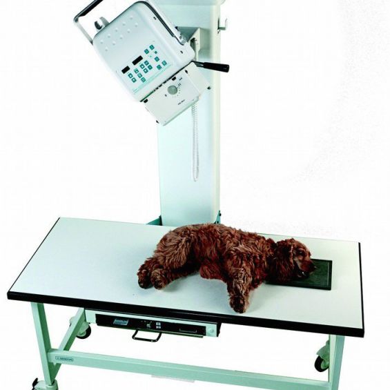 Dual Vet X-Plus | RADIAL, S.L.